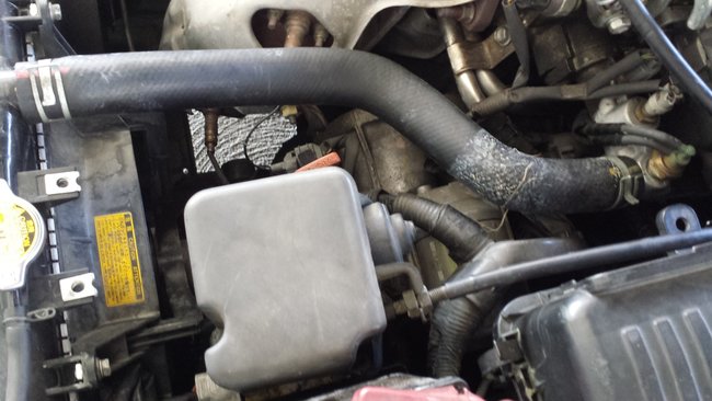 Swollen Radiator Hose: I Have the Car Listed Above It Is the GT ...