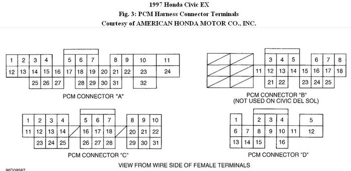 P1337 Code: Hello, I Would Like to Ask About a Problem That I Have...