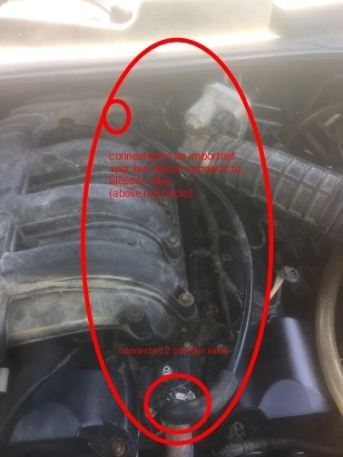 Need to Know Where Hose From Air Intake Box Plugs Into on the ...