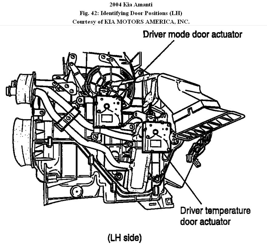 2005 Kia Amanti Stereo Wiring Diagram - Herbalium 2005 Kia Amanti Stereo Wiring Diagram - Herbalium