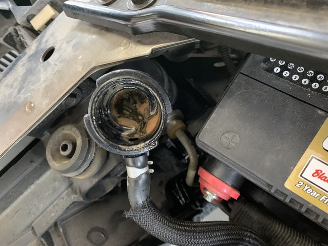 Transmission Fluid Leaking Into Radiator?: I Bought the Car Listed...