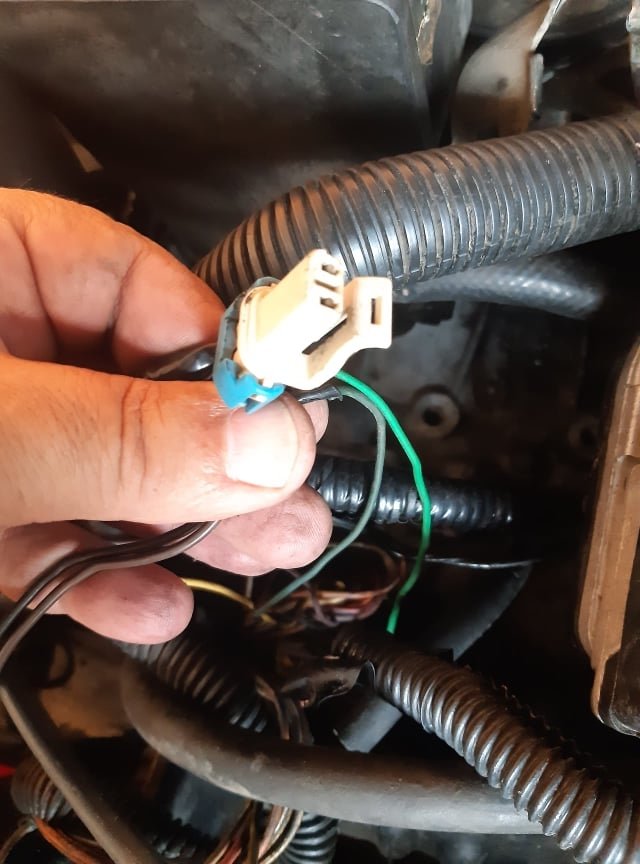 Wiring Diagram for ECT Sensor and Sender Units Needed